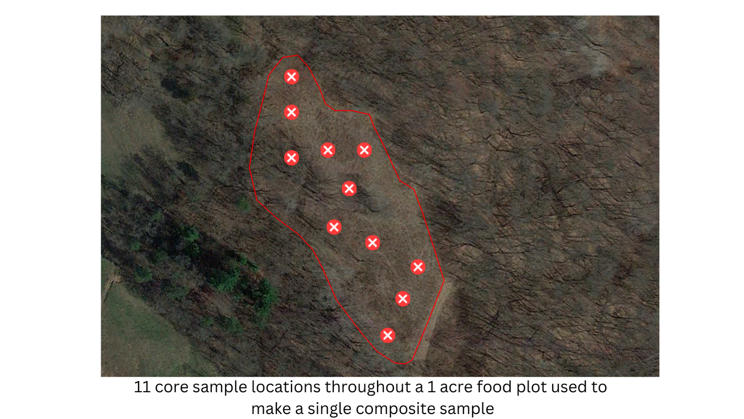 Food Plot Planting Basics | Hale Habitat & Seed