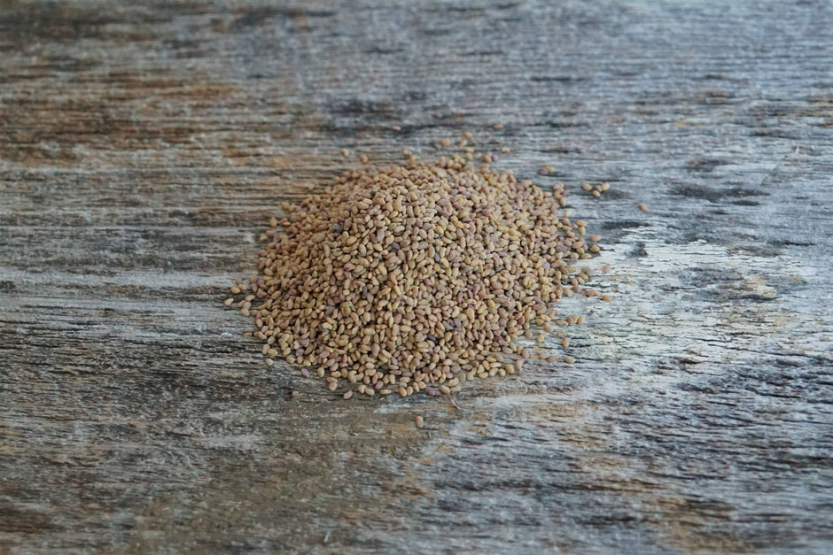 Products – Hale Habitat & Seed