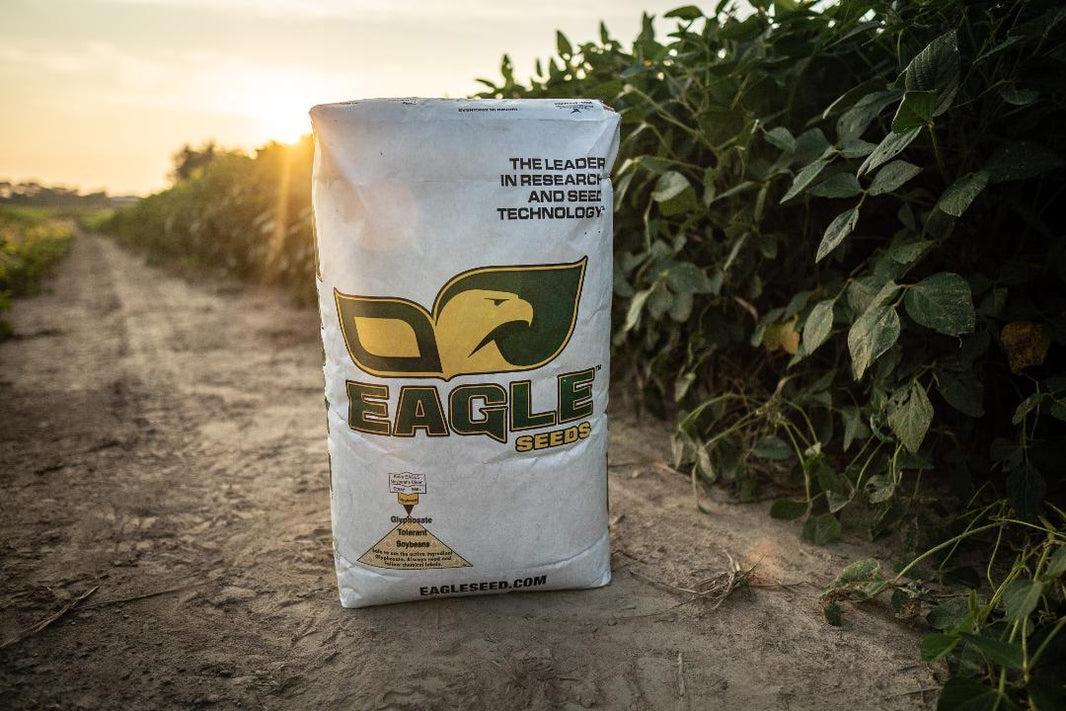 Premium Eagle Seed Corn and Soybean Varieties – Hale Habitat & Seed