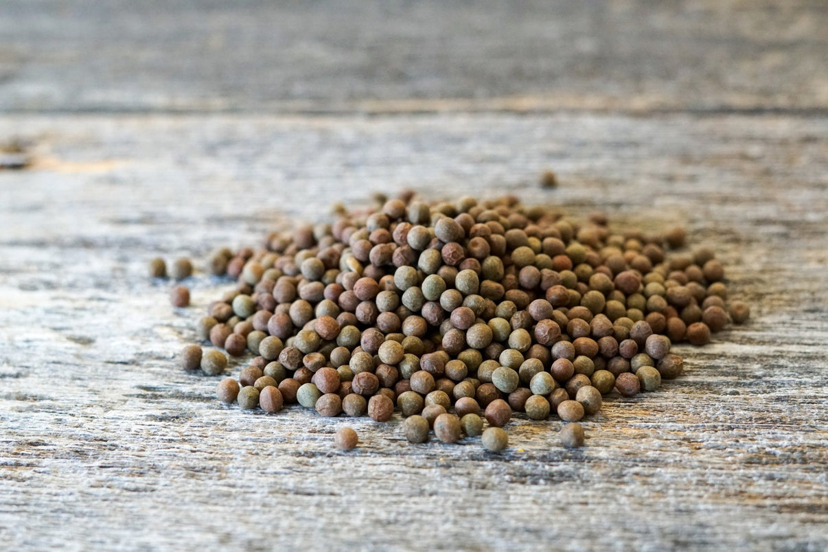 Nutritious Winter Peas for Wildlife Food Plots – Hale Habitat & Seed